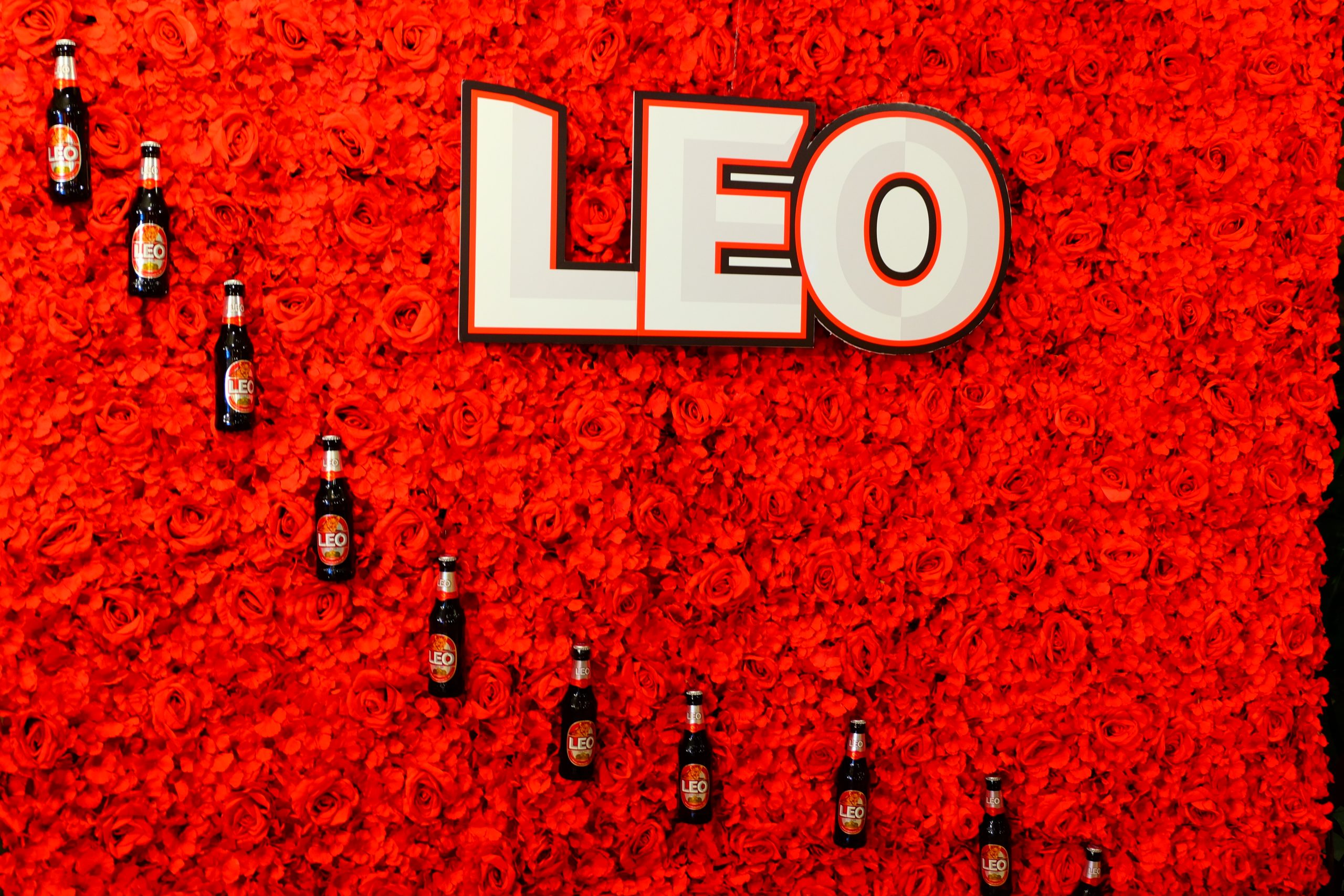 Leo Beer Launch | Here and Now, Defining multicultural marketing